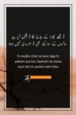 222+ Bewafa Poetry In Urdu 2 Lines Latest [2025]