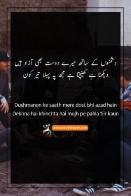 375+ Best Friend Poetry In Urdu دوسْت پوئِٹْری [2023]